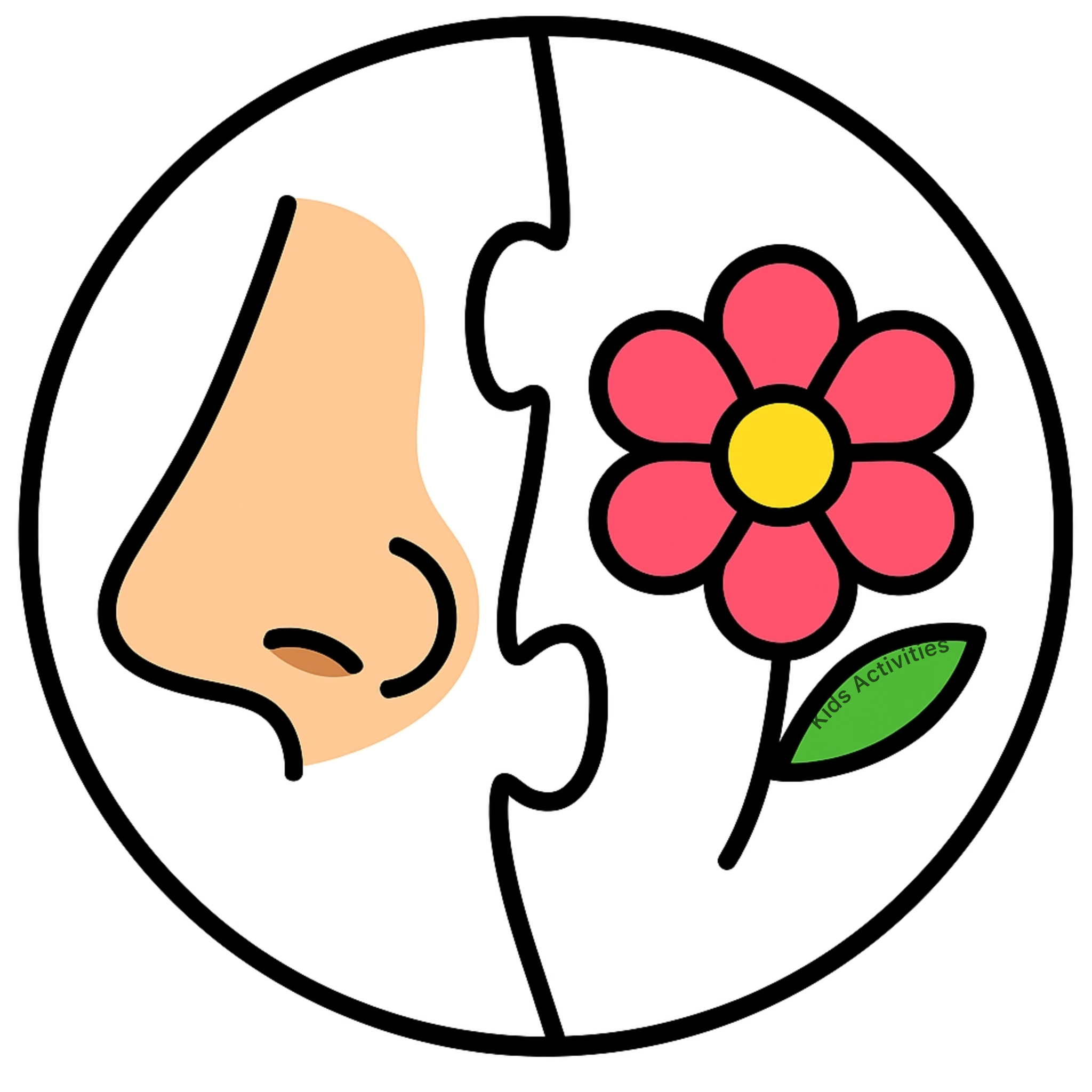 5 Senses Puzzle By Flash Card - Kids Activities