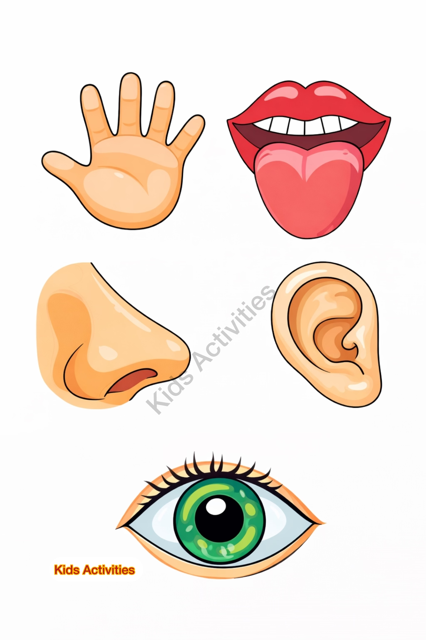 5 Senses Sorting - Kids Activities